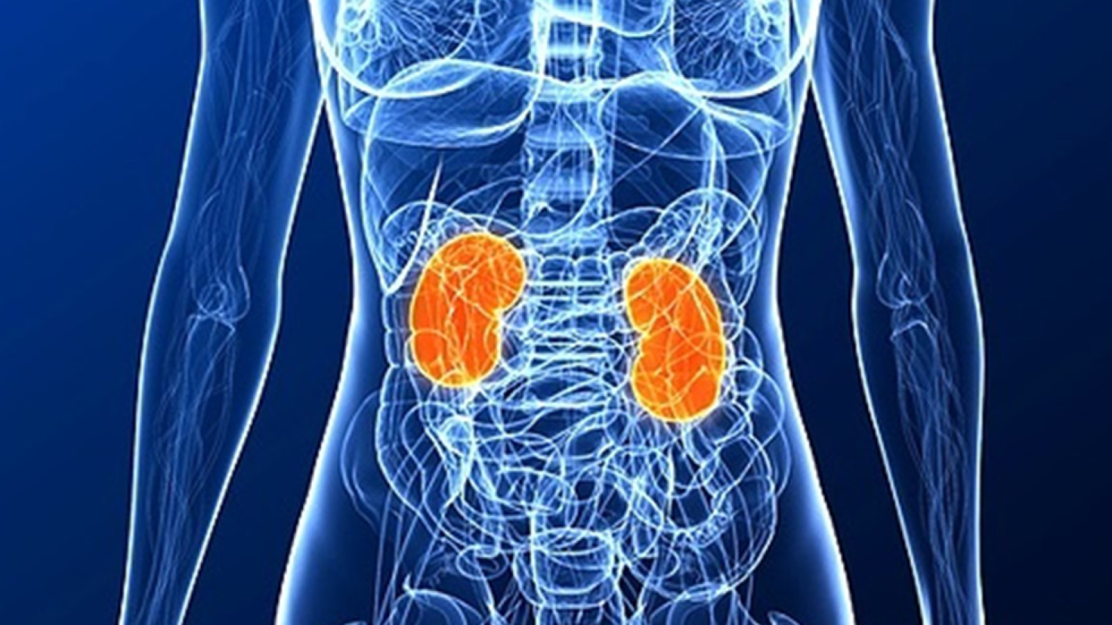 Saber Vivir - Cuida tus riñones