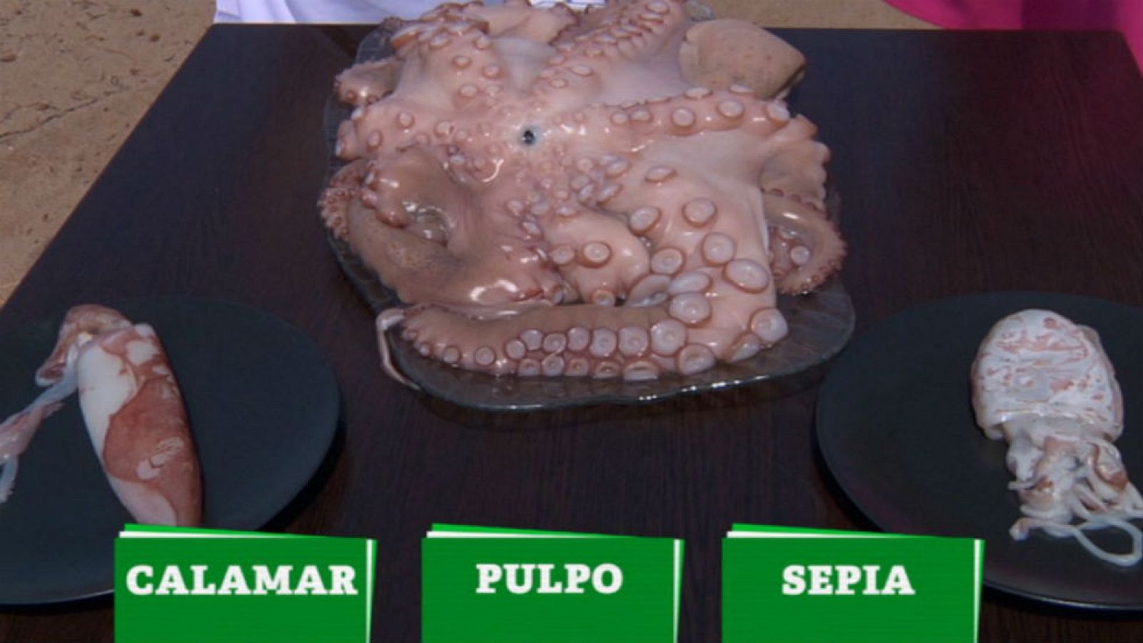 Calamar Vs Pulpo