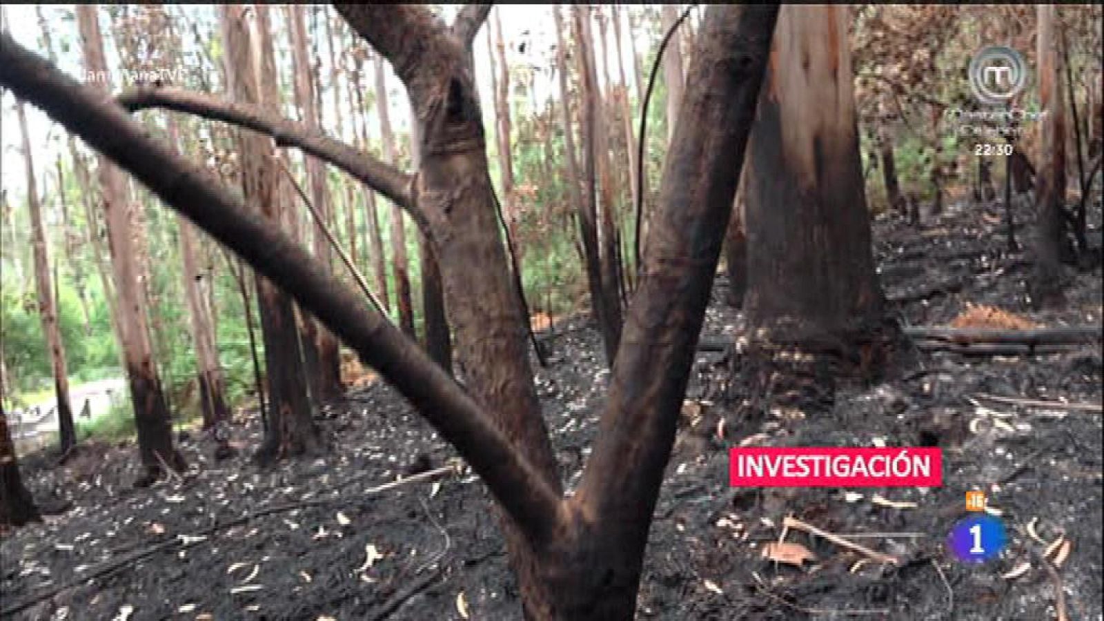 ¿Quienes son los incendiarios?