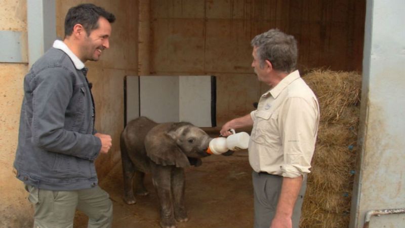 Qué ver en el Parque Naturaleza de Cabárceno