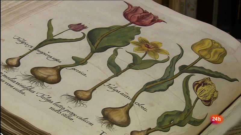 El Botánico, un jardín que investiga | RTVE.es