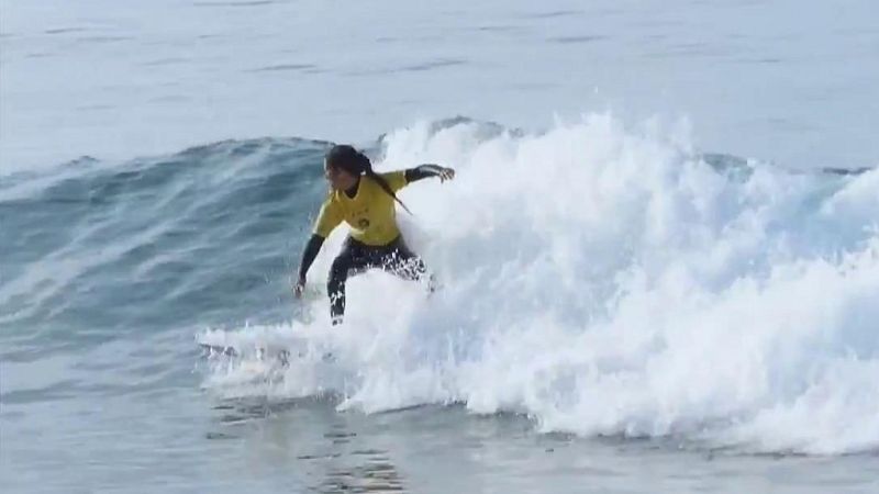 SURFING.ES - T2 - Programa 8