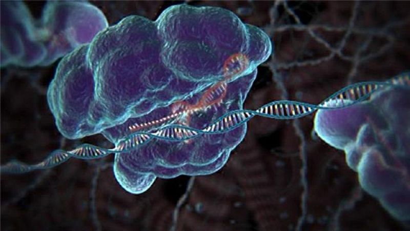 Telecanarias: Telecanarias - 11/01/2019 | RTVE Play