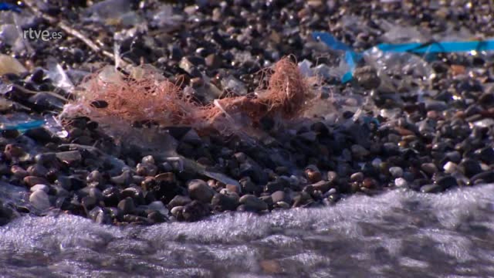 ¿Cuánto tiempo crees que tarda en descomponerse el plástico?