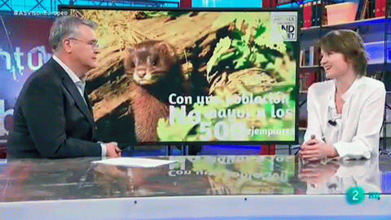 La aventura del Saber: Con Laura Moreno, para hablar del visón europeo ...