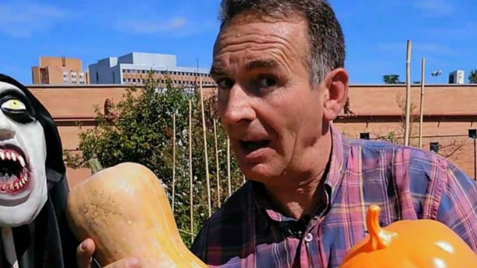 Los mejores trucos para cosechar tus propias calabazas | RTVE
