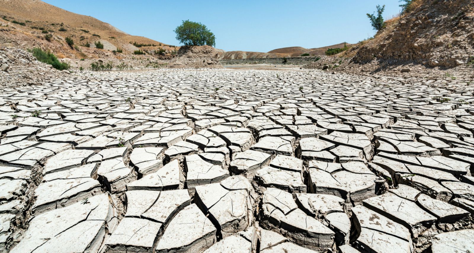 La mañana: Investigación: las consecuencias del cambio climático - RTVE.es La mañana: Investigación: las consecuencias del cambio climático - RTVE.es
