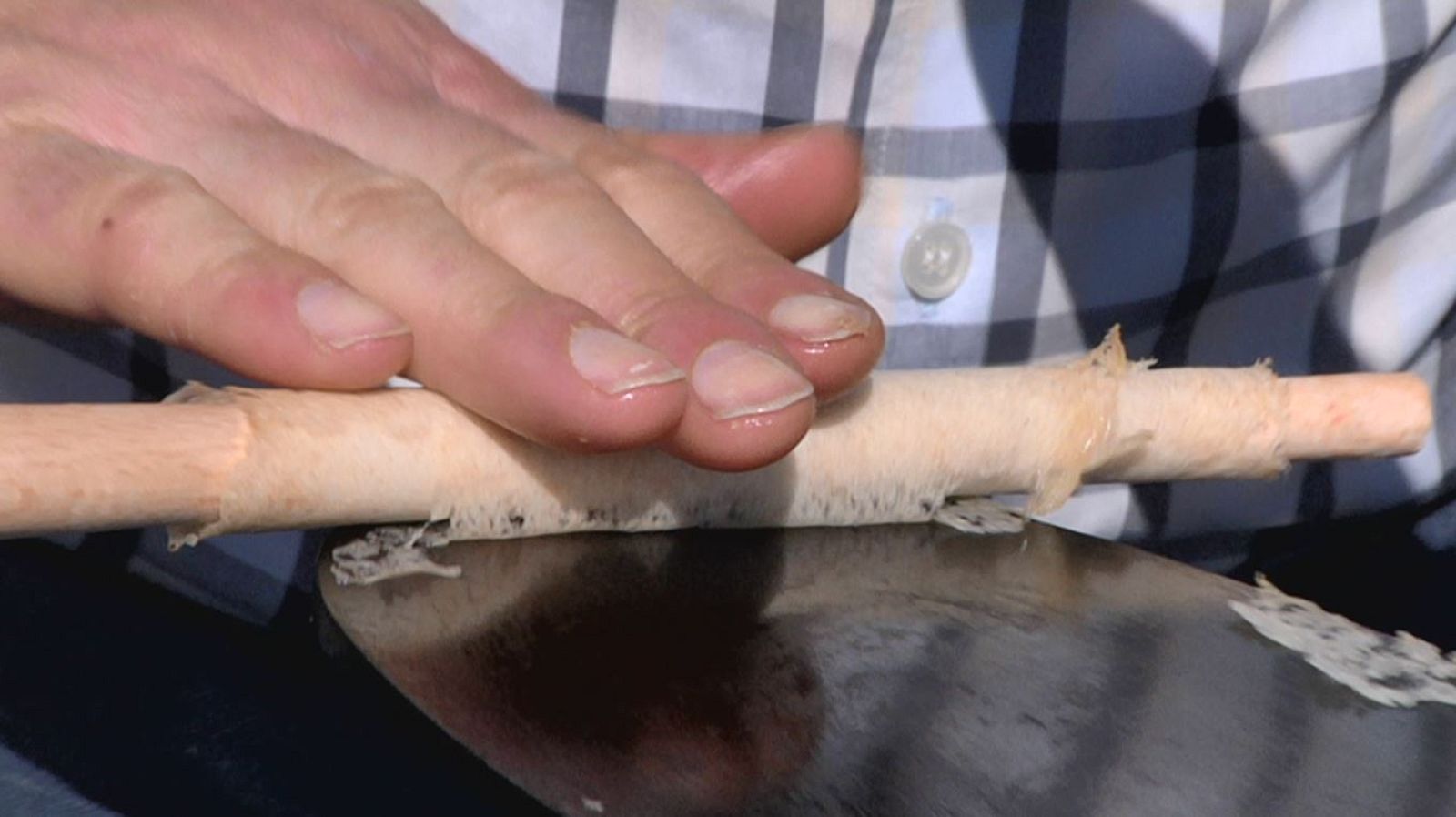 Cómo se hacen los barquillos