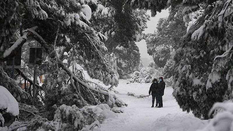 Temporal Filomena- RTVE.es