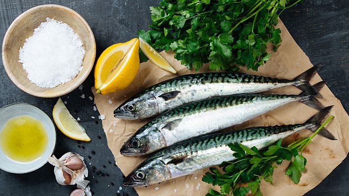 Conocemos las características del verdel o caballa