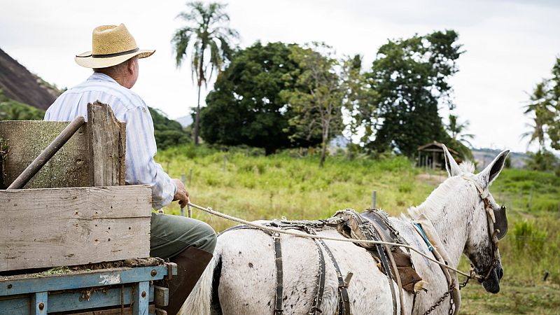 ¿Conoces el oficio del arriero? Los acompañamos en su jornada