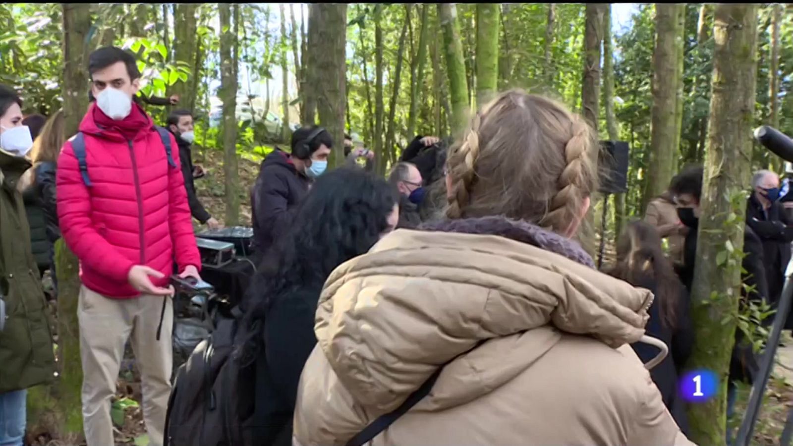 Buscan cen mil votos para que o Carballo de Conxo sexa árbore europea