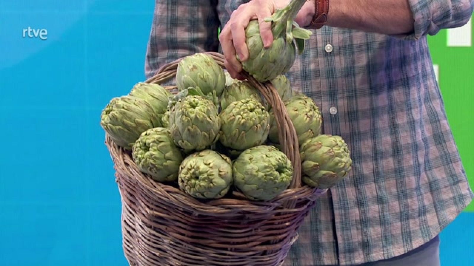 Todo sobre las alcachofas: cultivo, beneficios y usos en la cocina