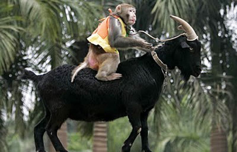 Sin programa: ¡Increíble 2009! | RTVE Play