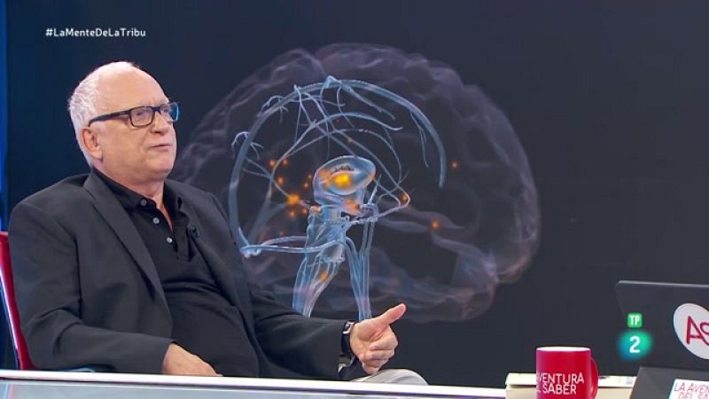 Luis Aguado. 'La mente de la tribu'