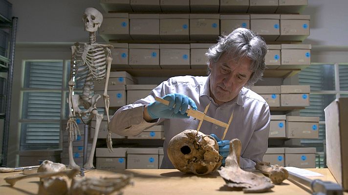 Casos abiertos de la historia - Conspiración en el harén. El caso de ...