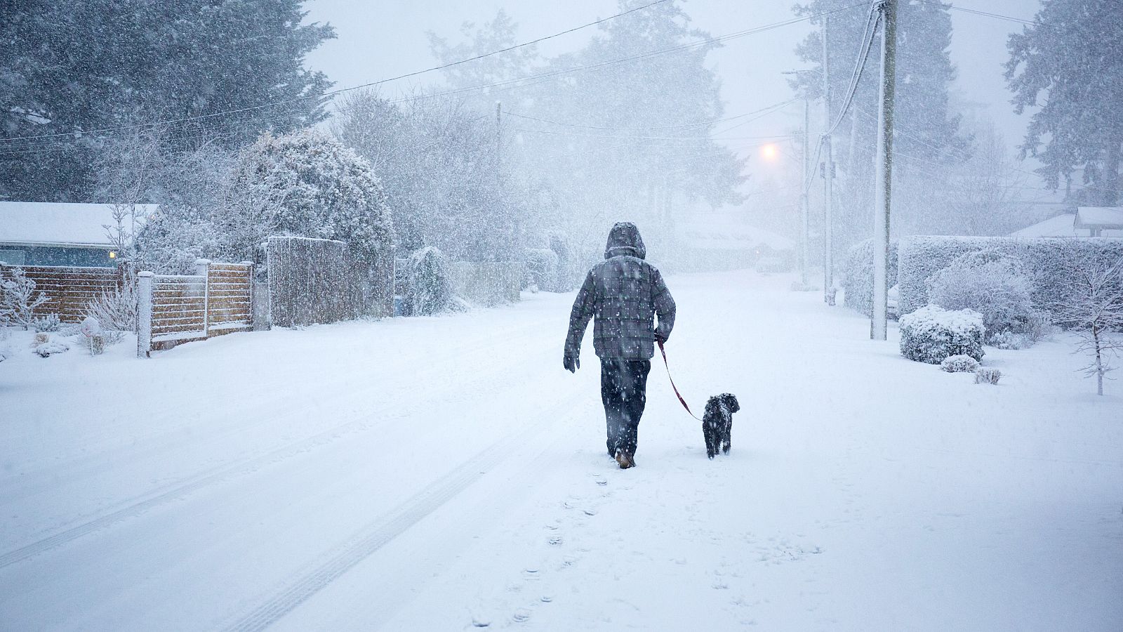 Curiosidades del frío: ¿Por qué manos y pies están más fríos?