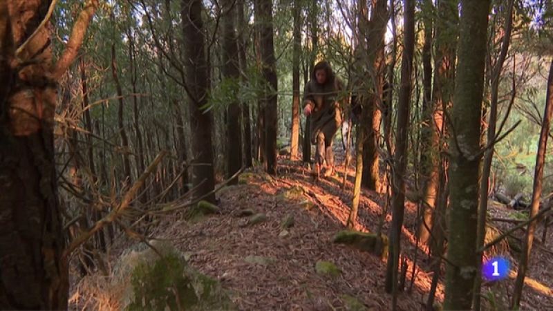 Castro Valente, una de las fortalezas más grandes de Galicia -RTVE.es