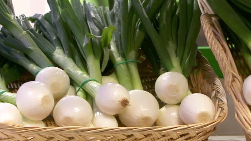 Cebolletas, frescas y con muchos beneficios