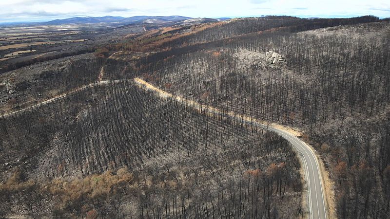 Mapas, cuentas y herramientas para seguir incendios forestales
