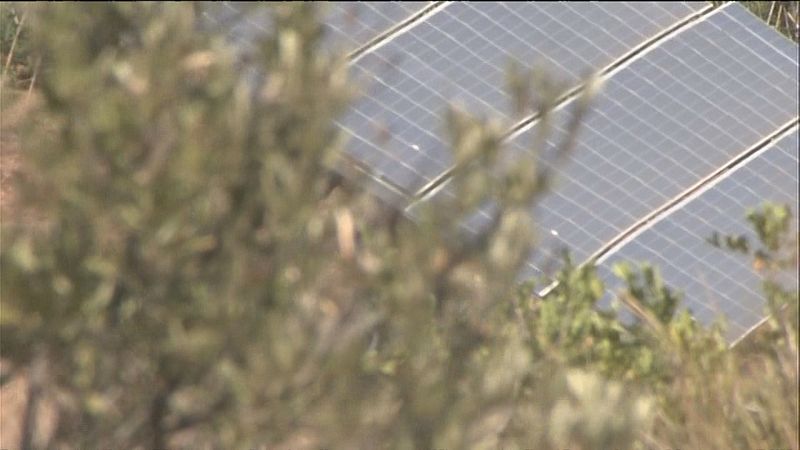 Llum verda a una planta solar en terrenys on una taulellera volia ...