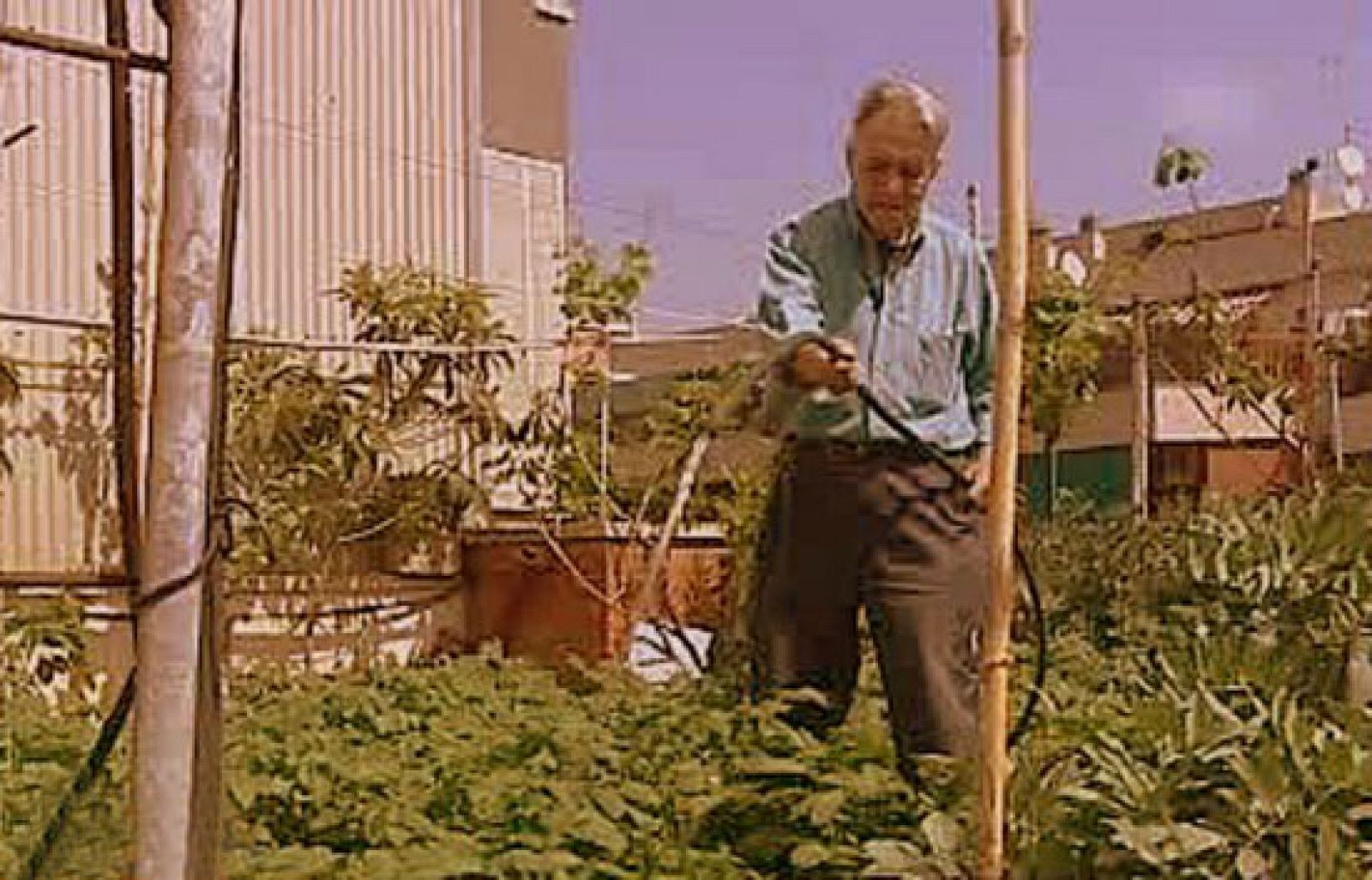 España Directo - Programa informativo en RTVE Play