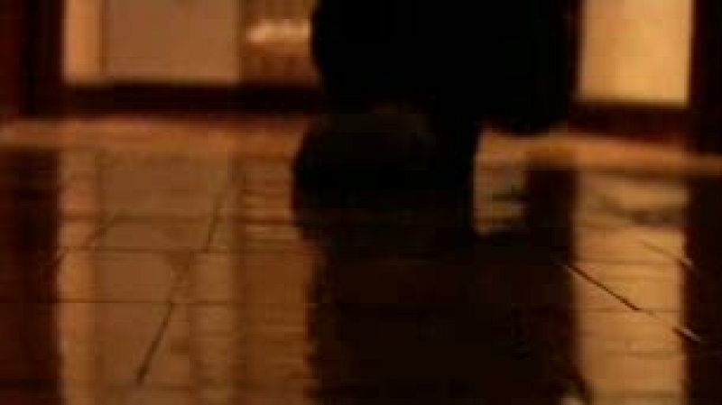 Sin programa: "Dale al Play" | RTVE Play