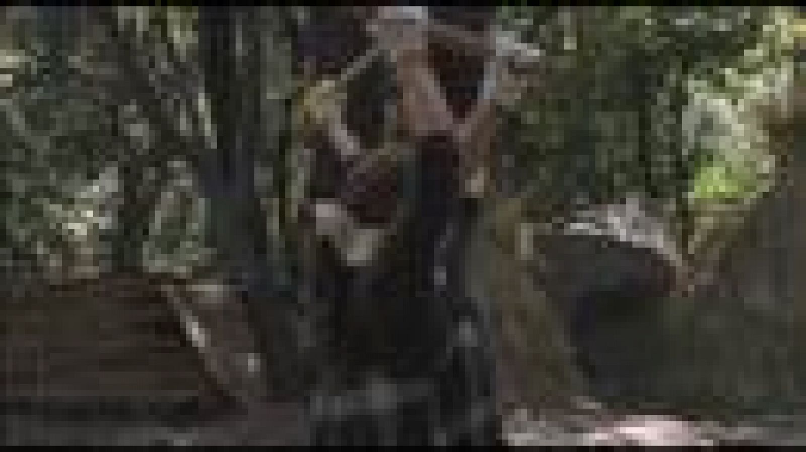 Pan negro' y 'Genpin': ¡Viva la diferencia! | RTVE.es