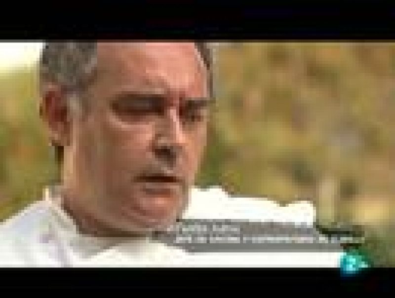 Sin programa: 1994-1996 - Capítulo 4 | RTVE Play