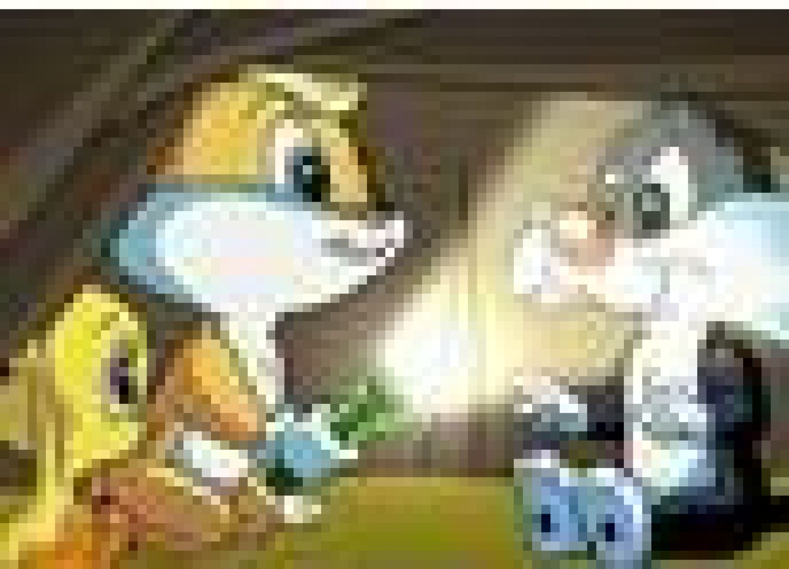 Sin programa: Baby Looney Tunes | RTVE Play